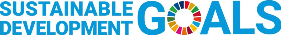 History of SDGs: From the Earth Summit to the 2030 sustainable ...